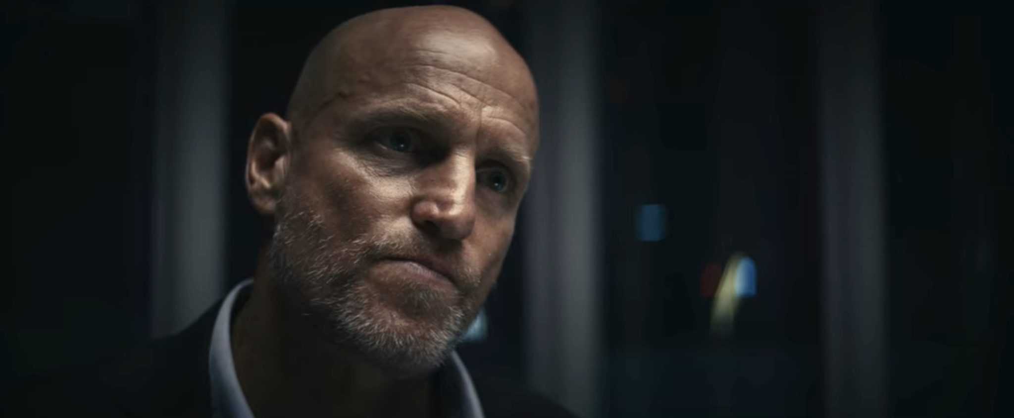 MAAC Review: KATE - M.A.A.C.